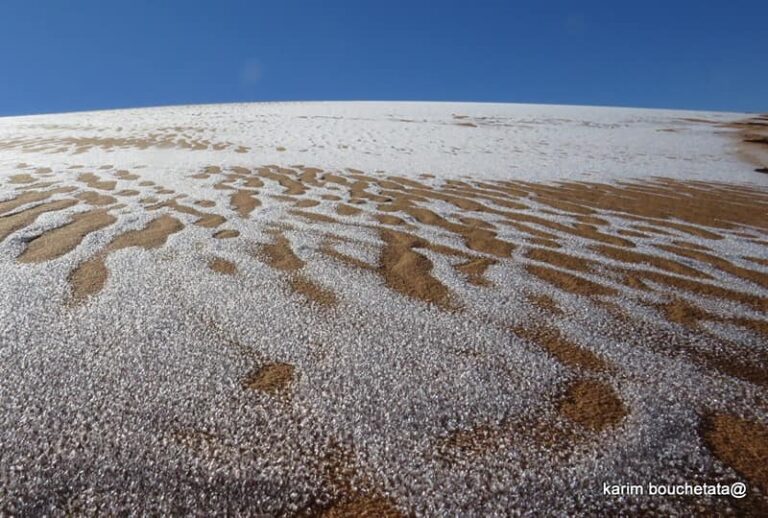 Breathtaking: Sahara desert covered in snow - Photos - Afrinik