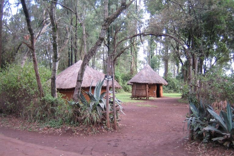 Luo people: To become a man your 6 lower teeth will be removed - Afrinik